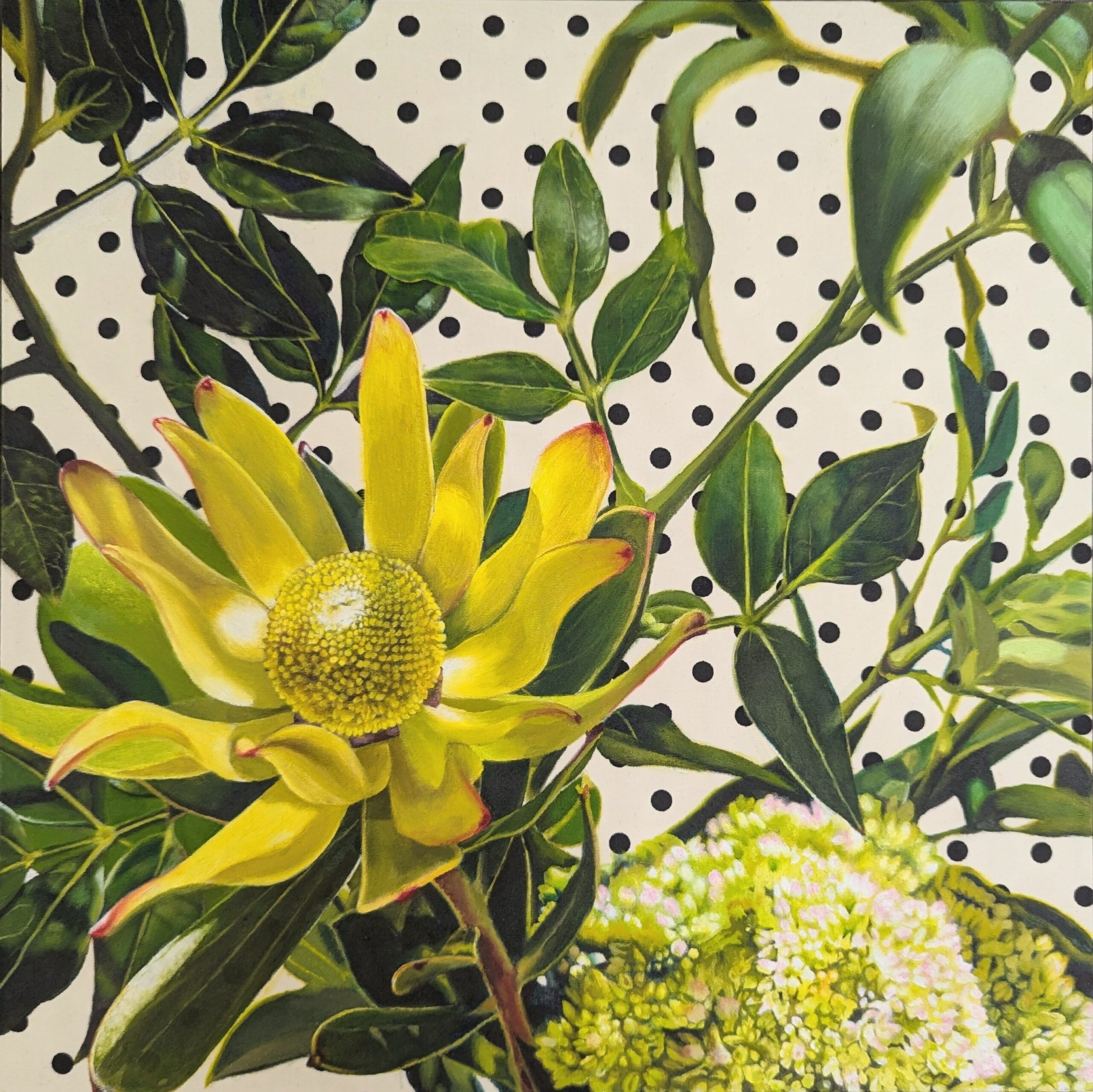 dot points | Web日動画廊